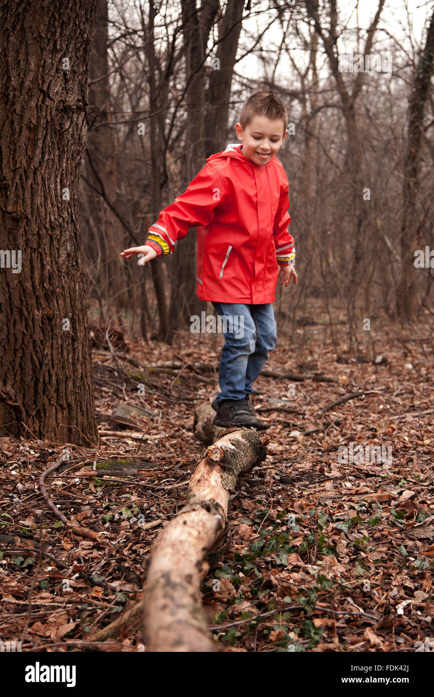 Boy playing on tree hi-res stock photography and images - Alamy