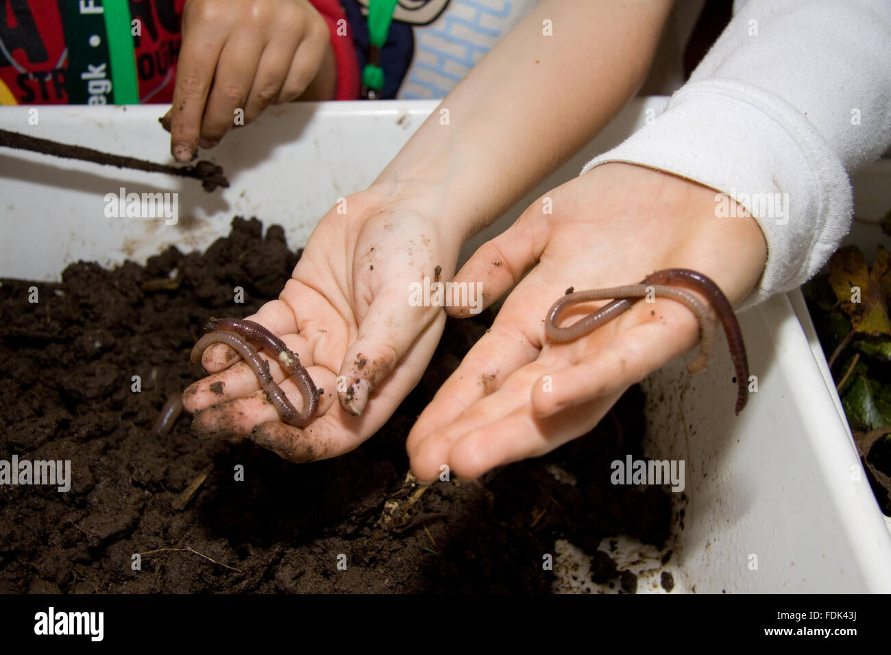 Worm Humus Stock Photos & Worm Humus Stock Images - Alamy