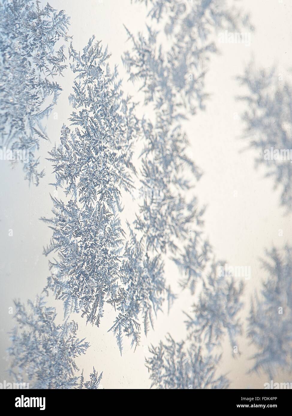 A frozen snowflake on a window Stock Photo - Alamy