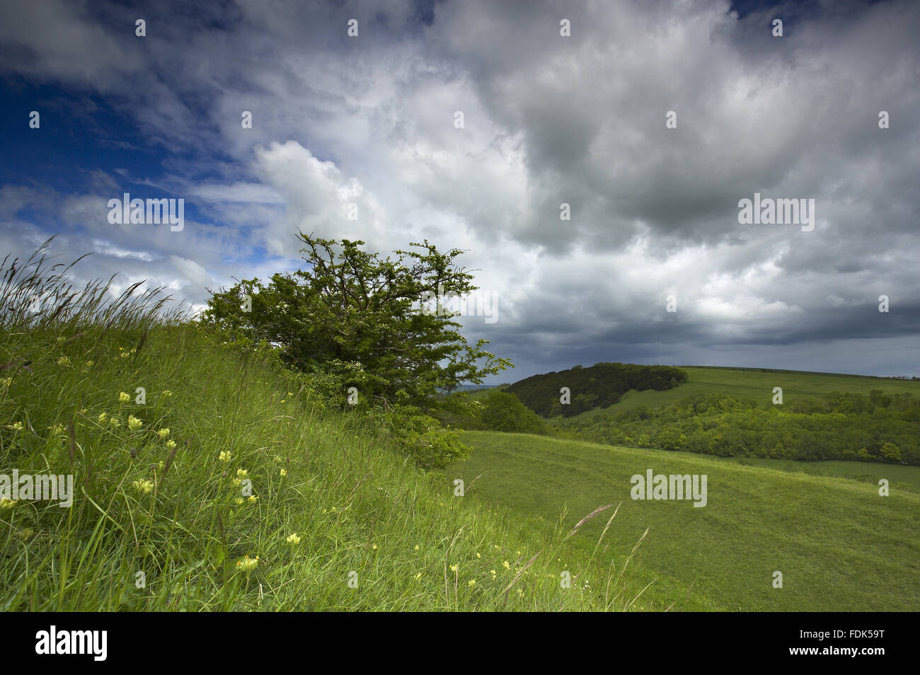 Fort hod hi-res stock photography and images - Alamy
