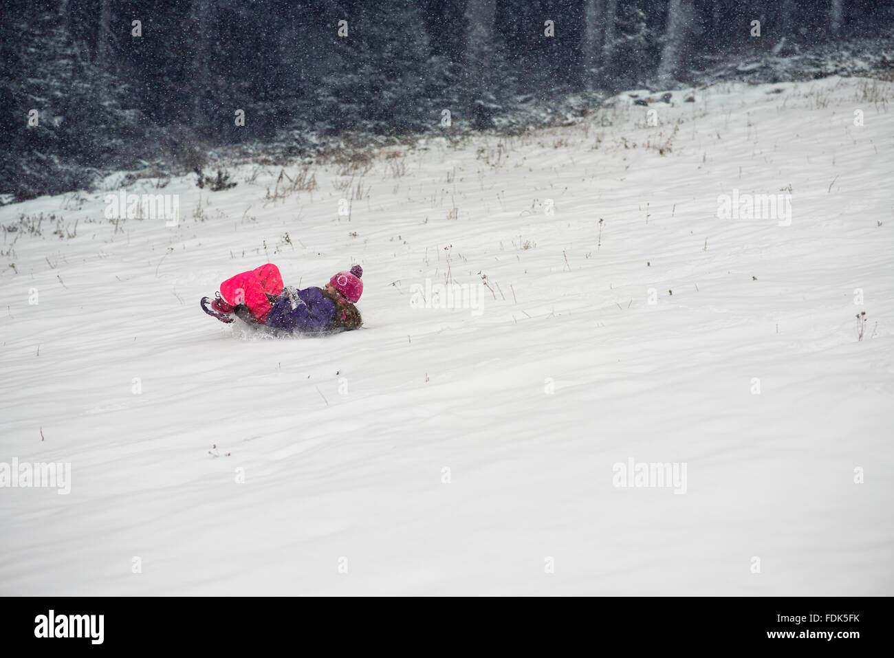 Girl on a sledge Stock Photo - Alamy