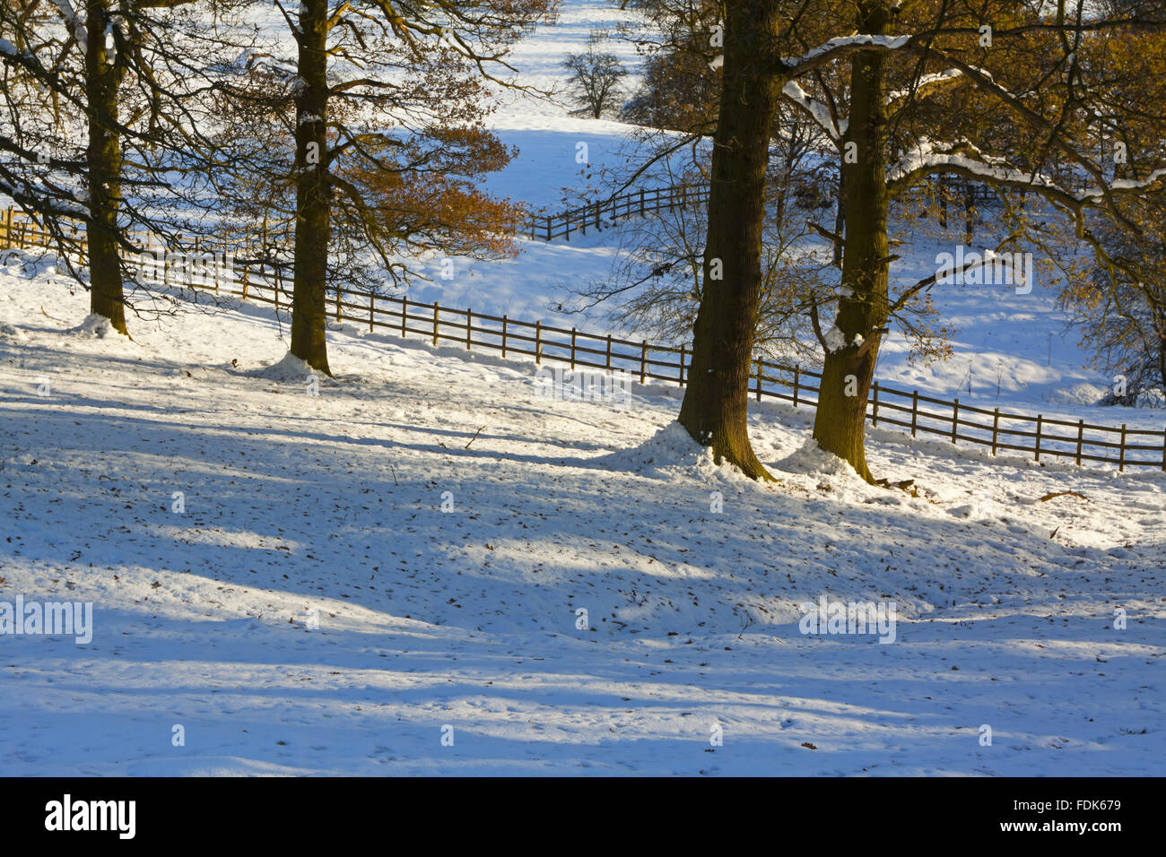 Hardwick hall parkland hi-res stock photography and images - Alamy