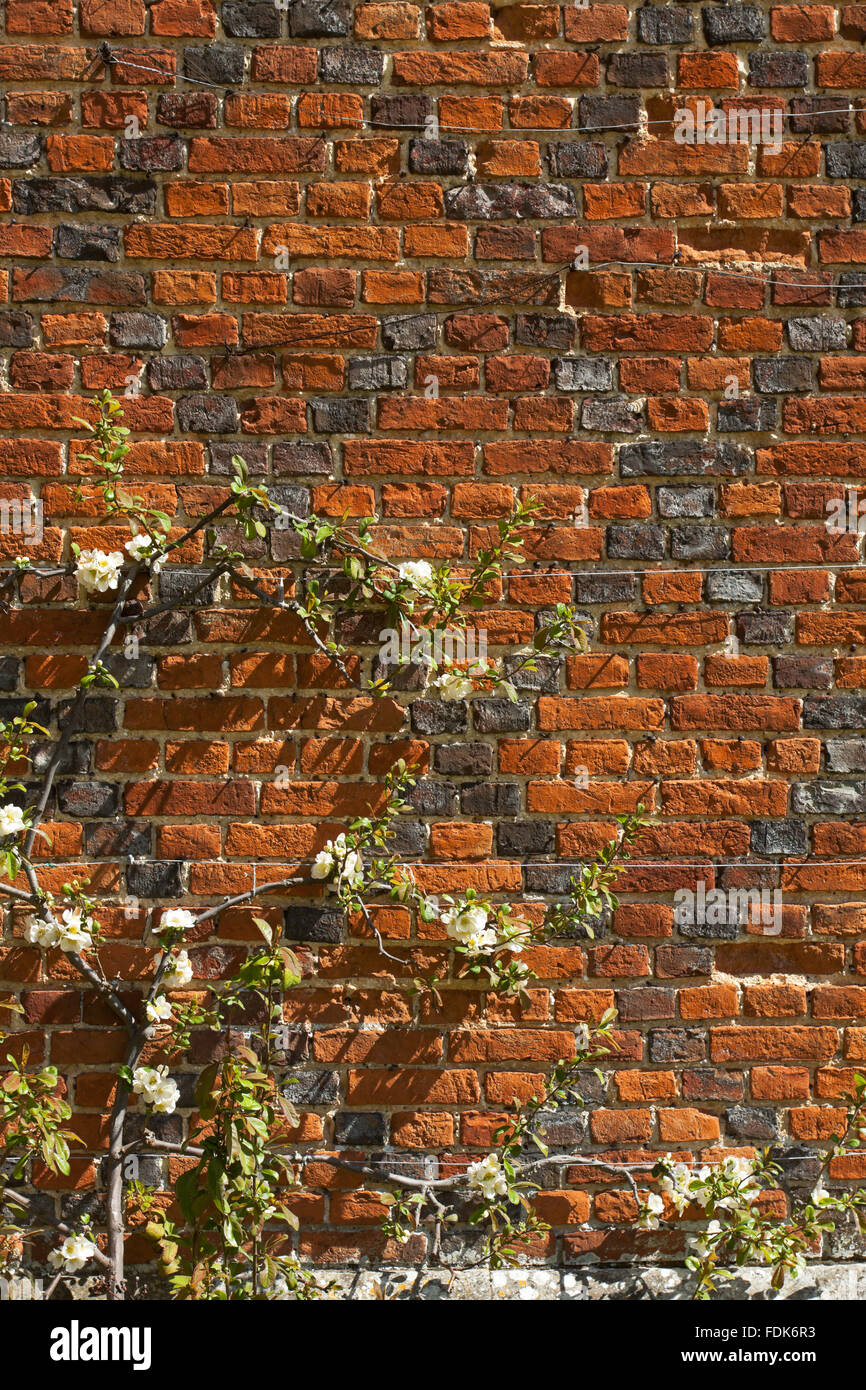 Diamond brickwork pattern hi-res stock photography and images - Alamy