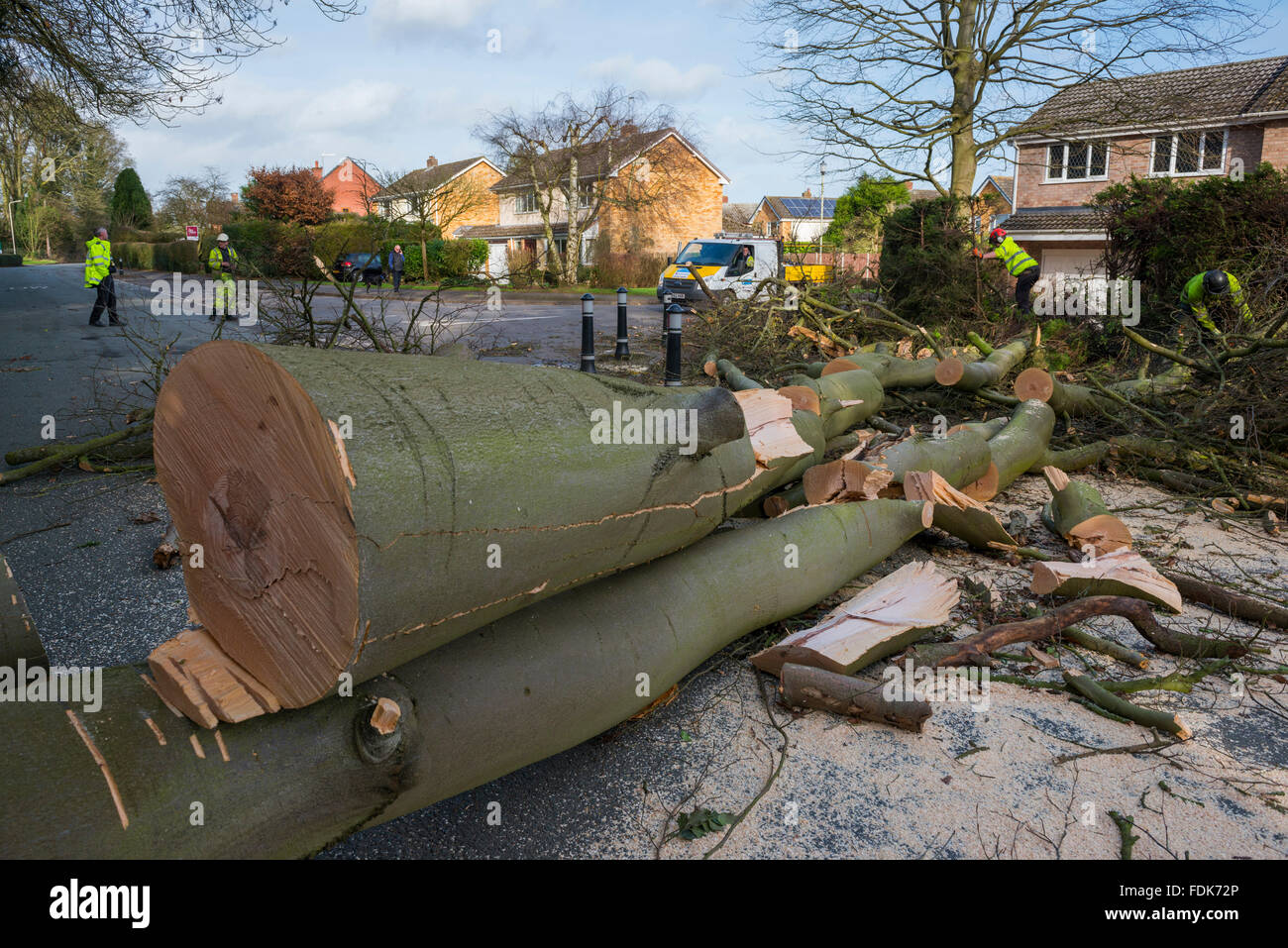 Shifnal, UK. 1st February, 2016. UK Weather: Contractors saw up a ...