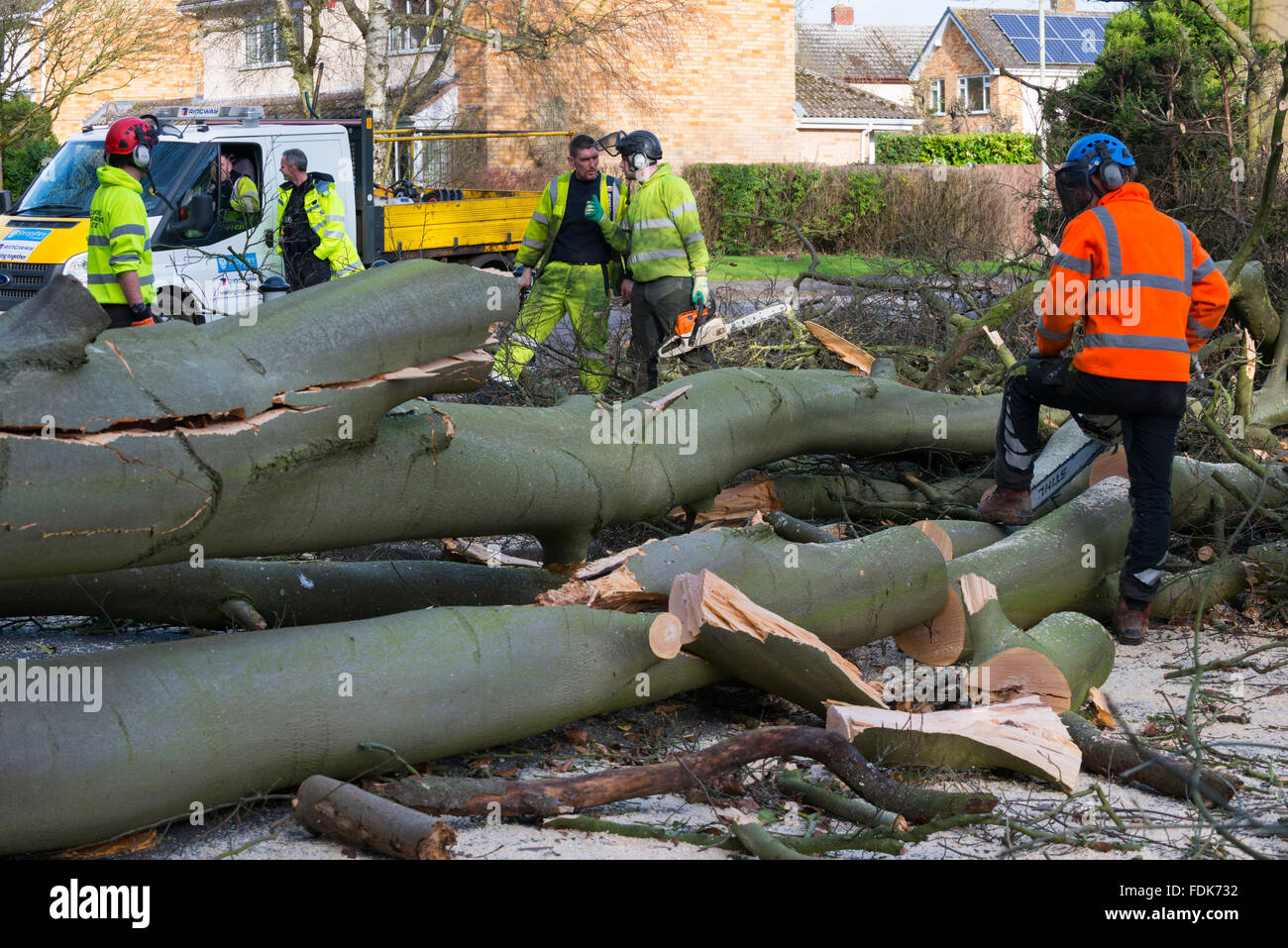 Tree fallen across road hi-res stock photography and images - Alamy