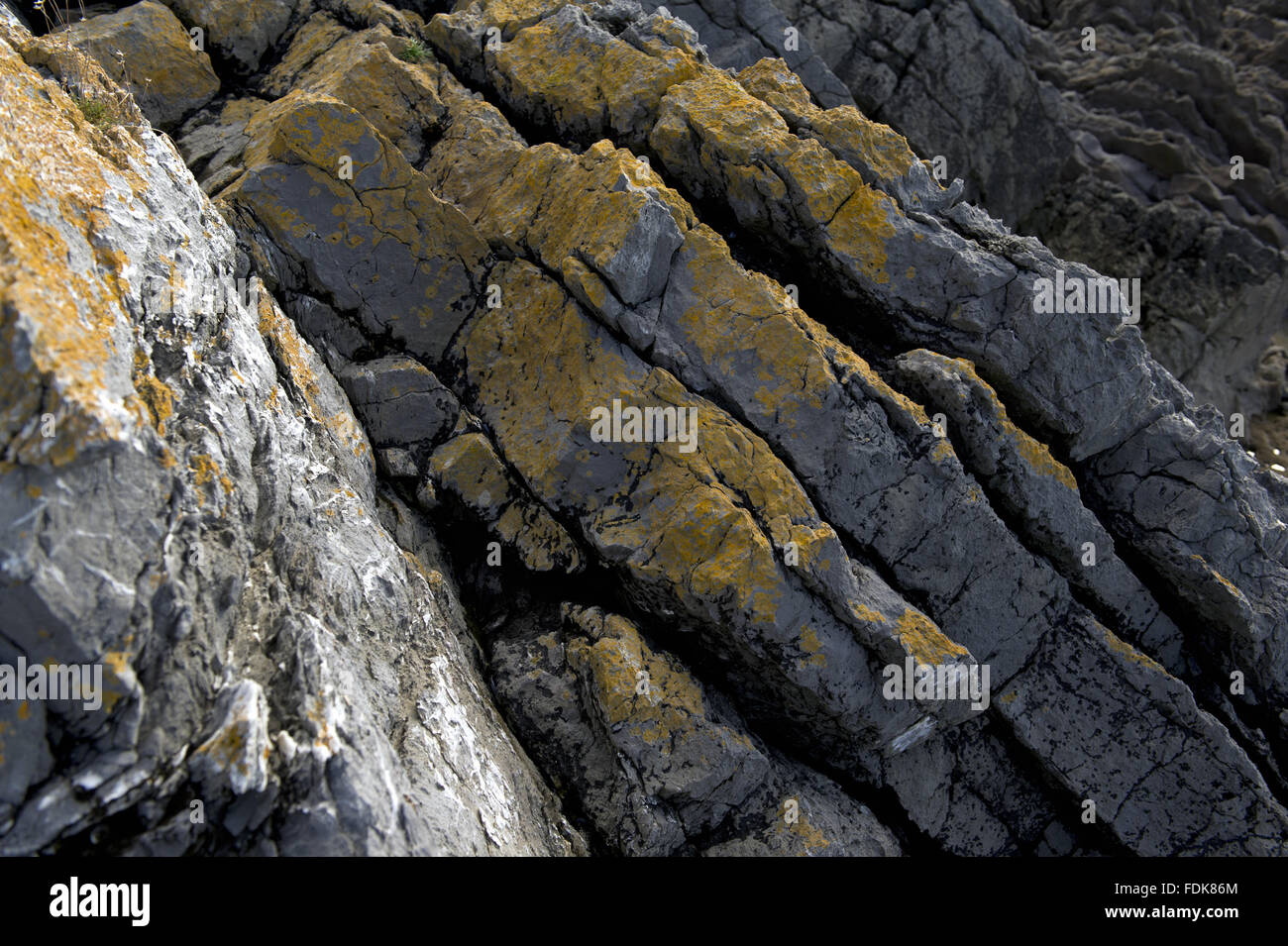 British beach feature hi-res stock photography and images - Alamy