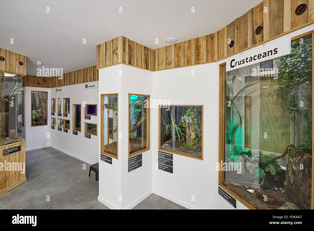 The inside of the tropical bug house on Bug farm near St Davids ...