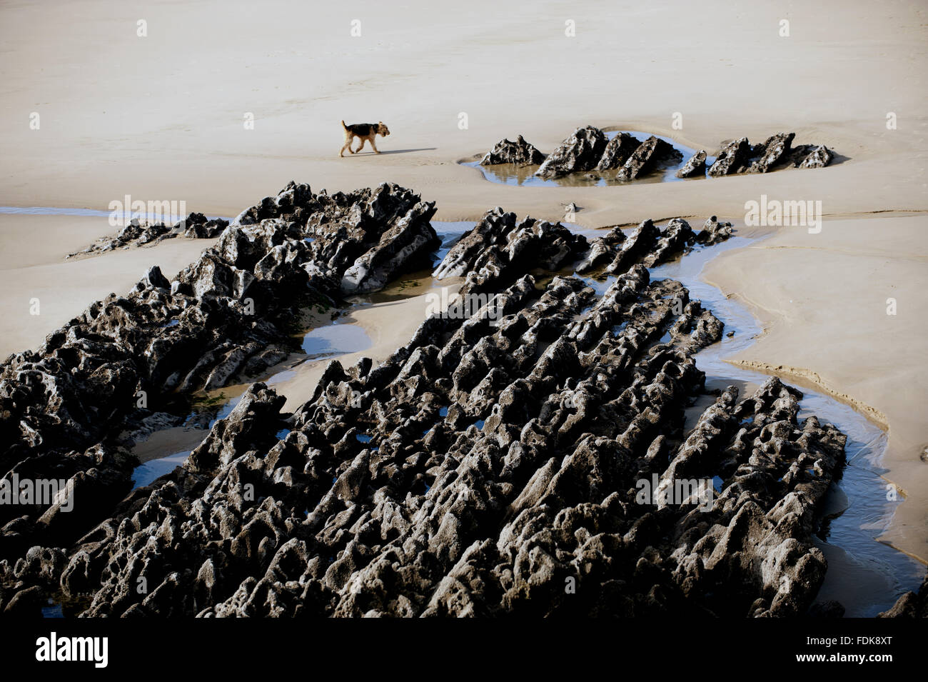 The beach at Pennard, Gower, Wales Stock Photo - Alamy