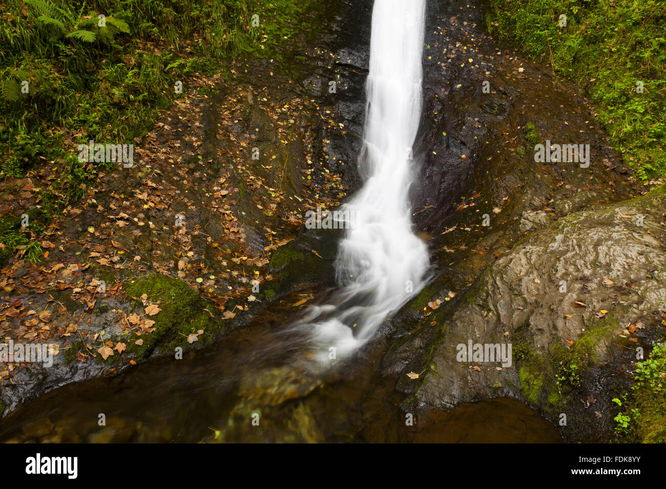 White Lady waterfall in Lydford Gorge, Devon Stock Photo - Alamy