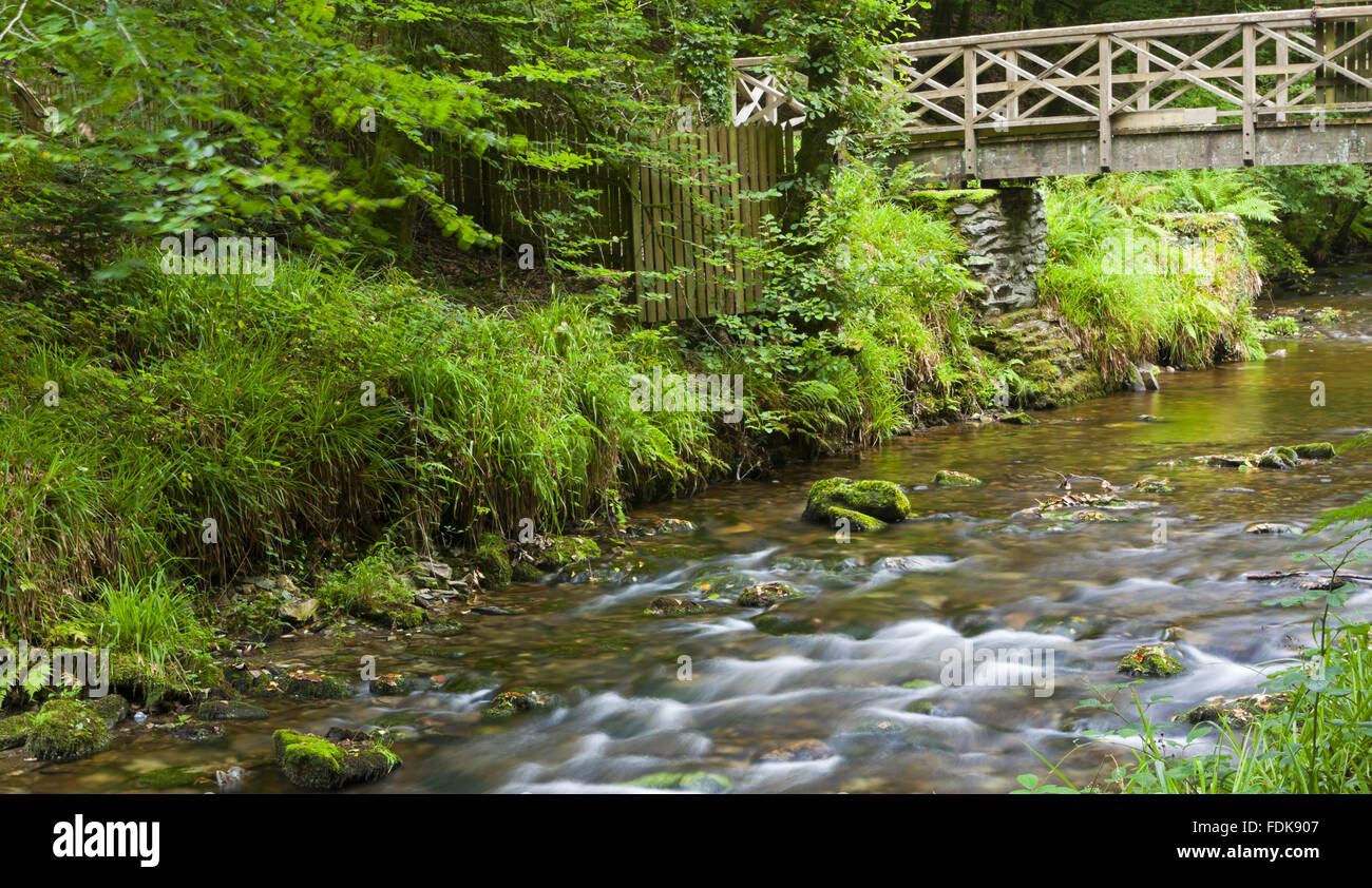 The River Lyd flowing through Lydford Gorge, Devon Stock Photo - Alamy