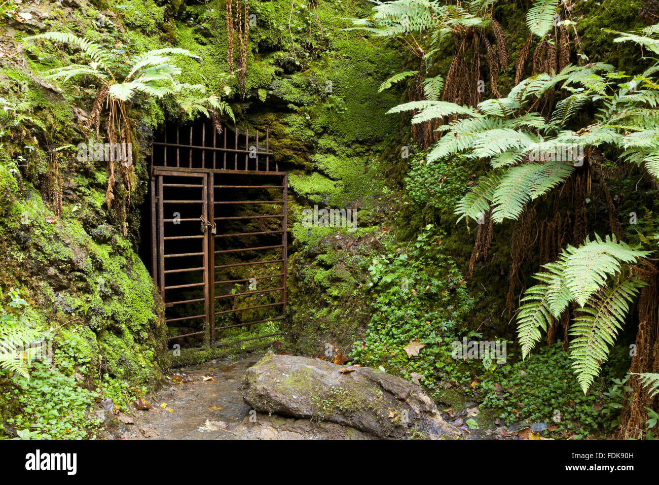 Adit mining hi-res stock photography and images - Alamy