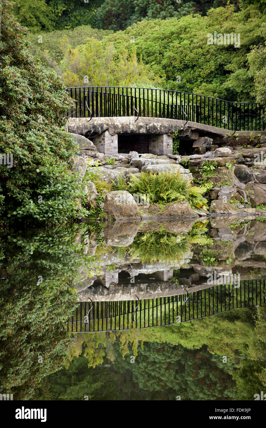 Sheffield bridges hi-res stock photography and images - Alamy