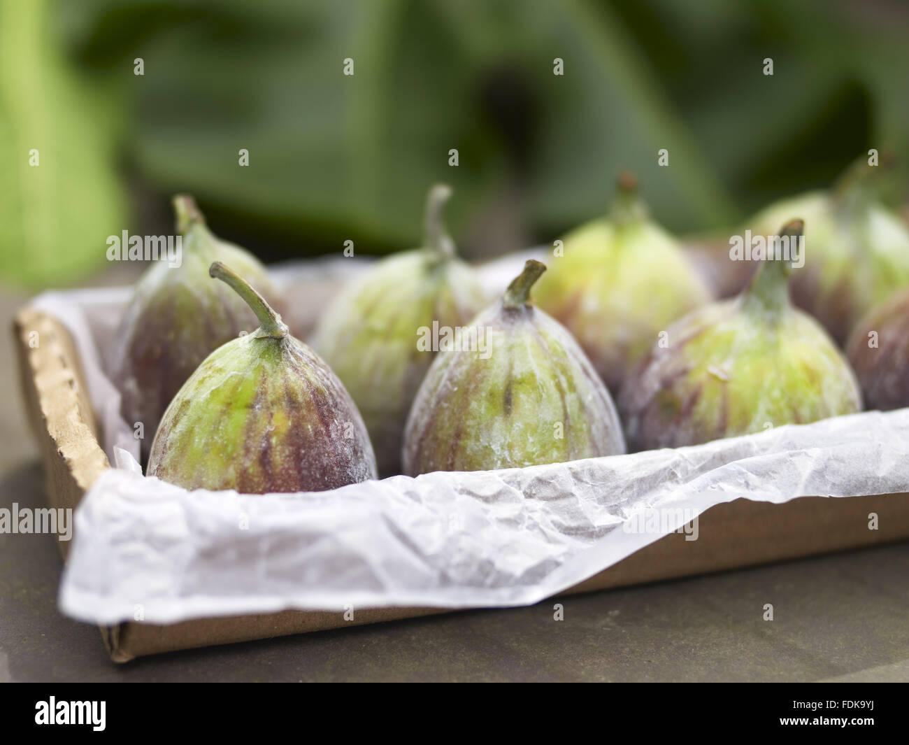 Fresh figs in summer Stock Photo - Alamy
