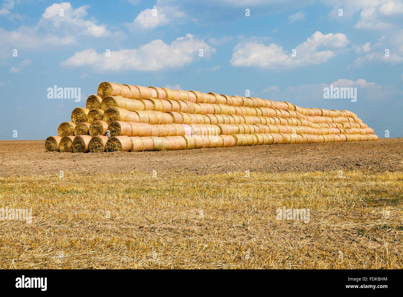 haystacks straw. field Stock Photo - Alamy