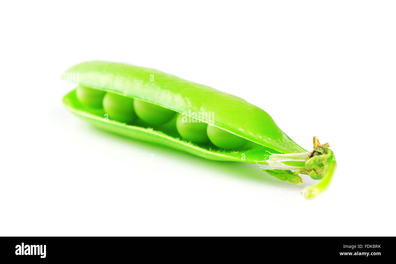 Single Green Pea