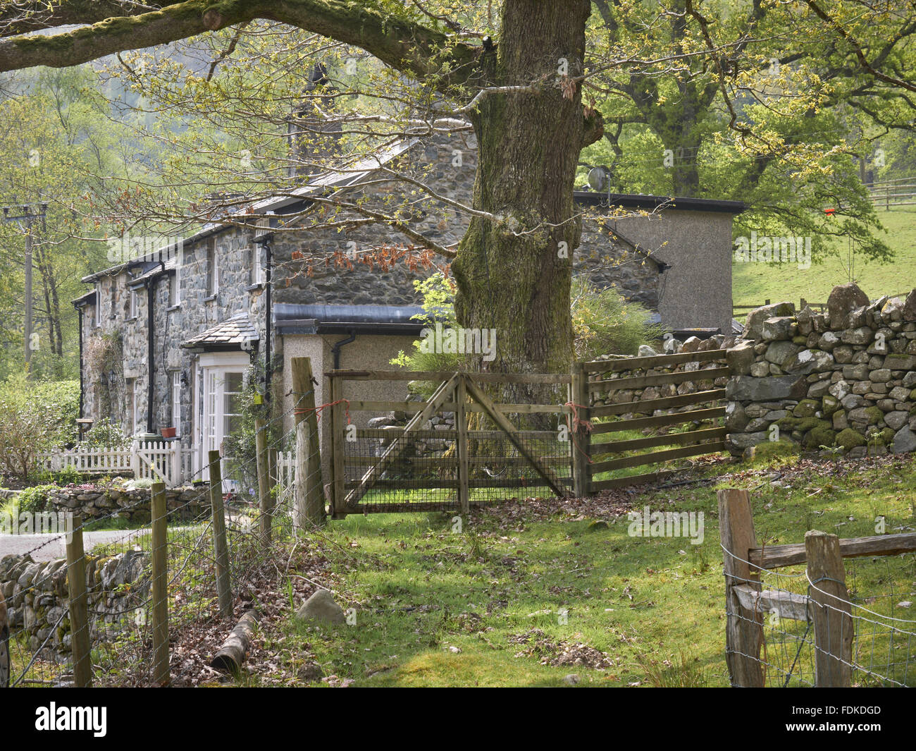 Tyn-y-Groes Bach on the Dolmelynllyn Estate, Gwynedd, Wales Stock Photo ...