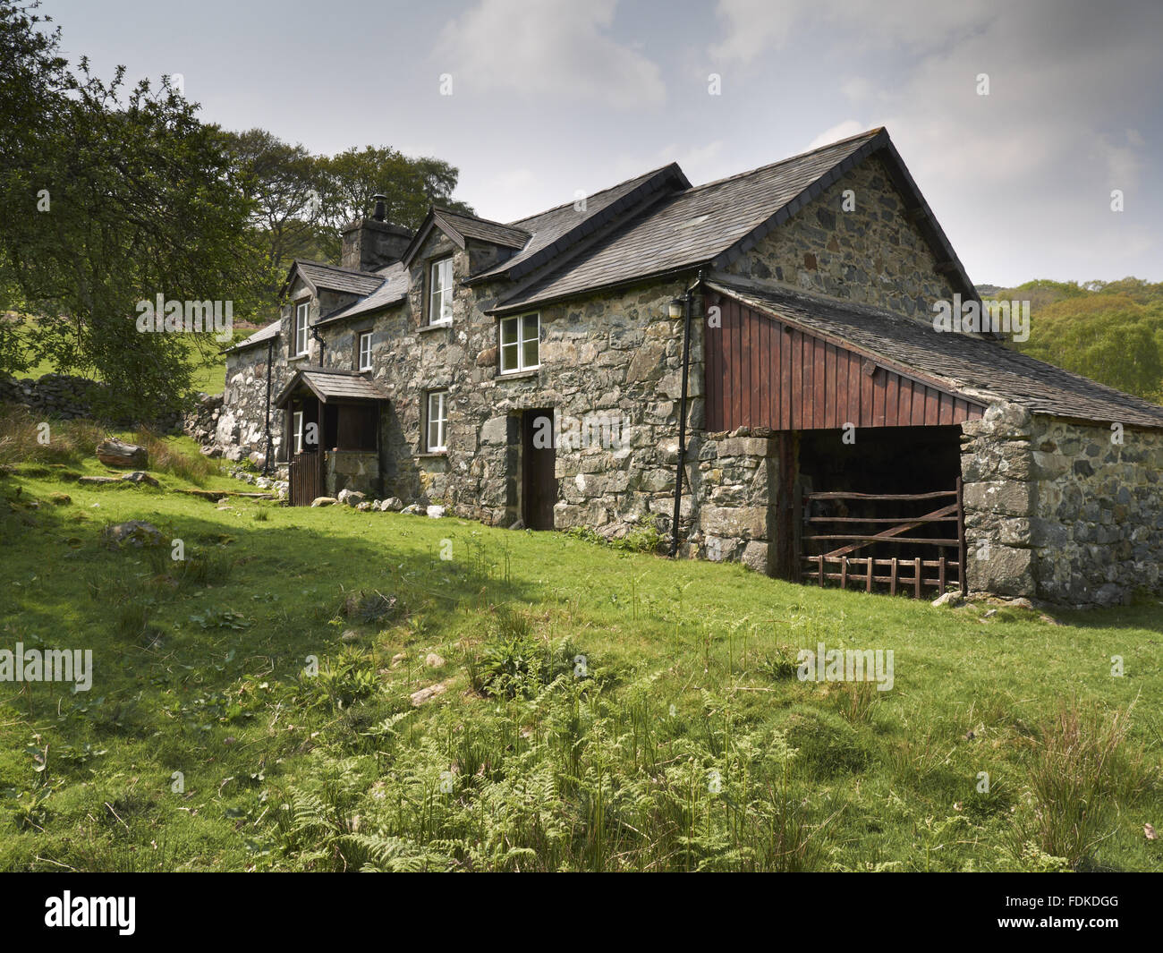 Tyddyn Bach on the Dolmelynllyn Estate, Gwynedd, Wales Stock Photo - Alamy