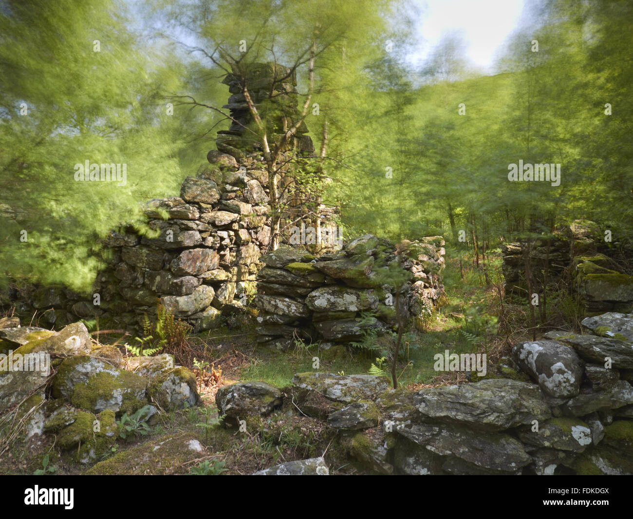 An abandoned building on Llyndy Isaf, a farm estate of 600 acres in ...