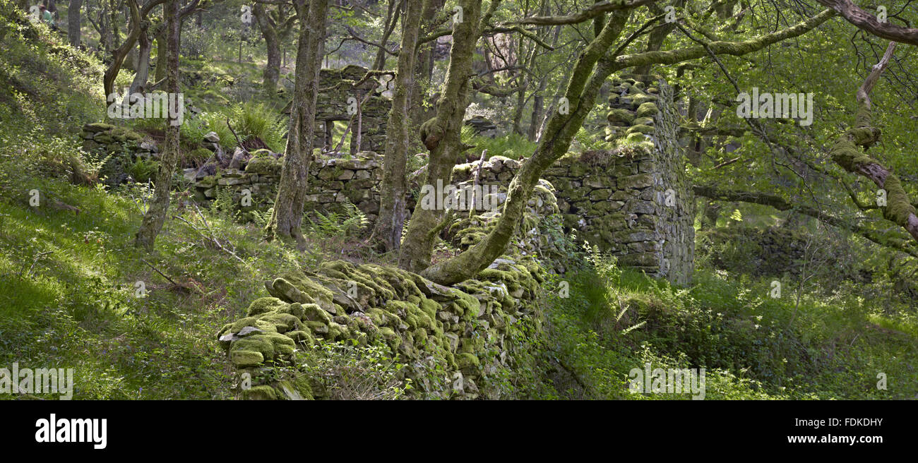 An abandoned building at Llyndy Isaf, an estate of 600 acres in ...