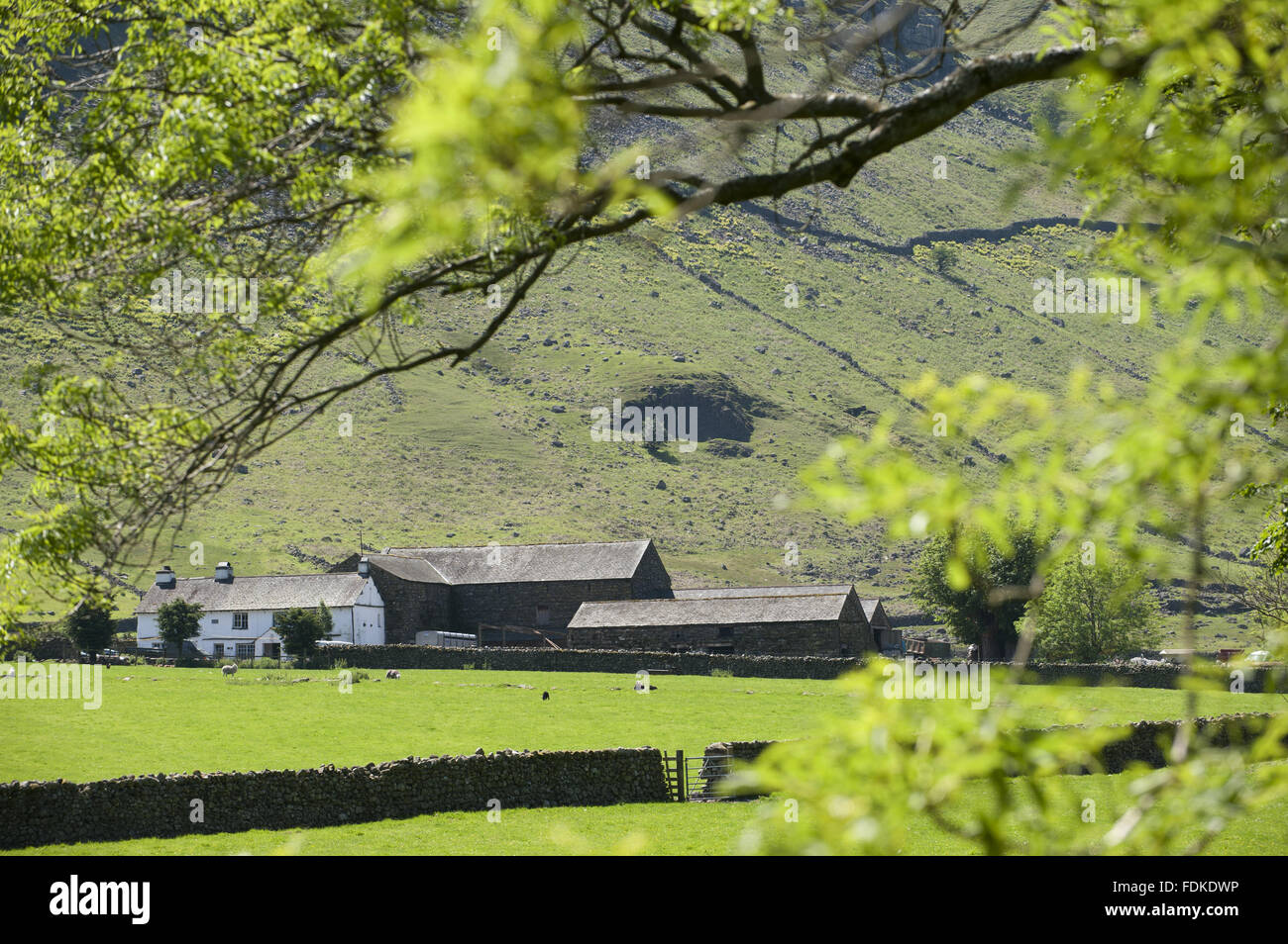 Cumbria farm buildings hi-res stock photography and images - Alamy