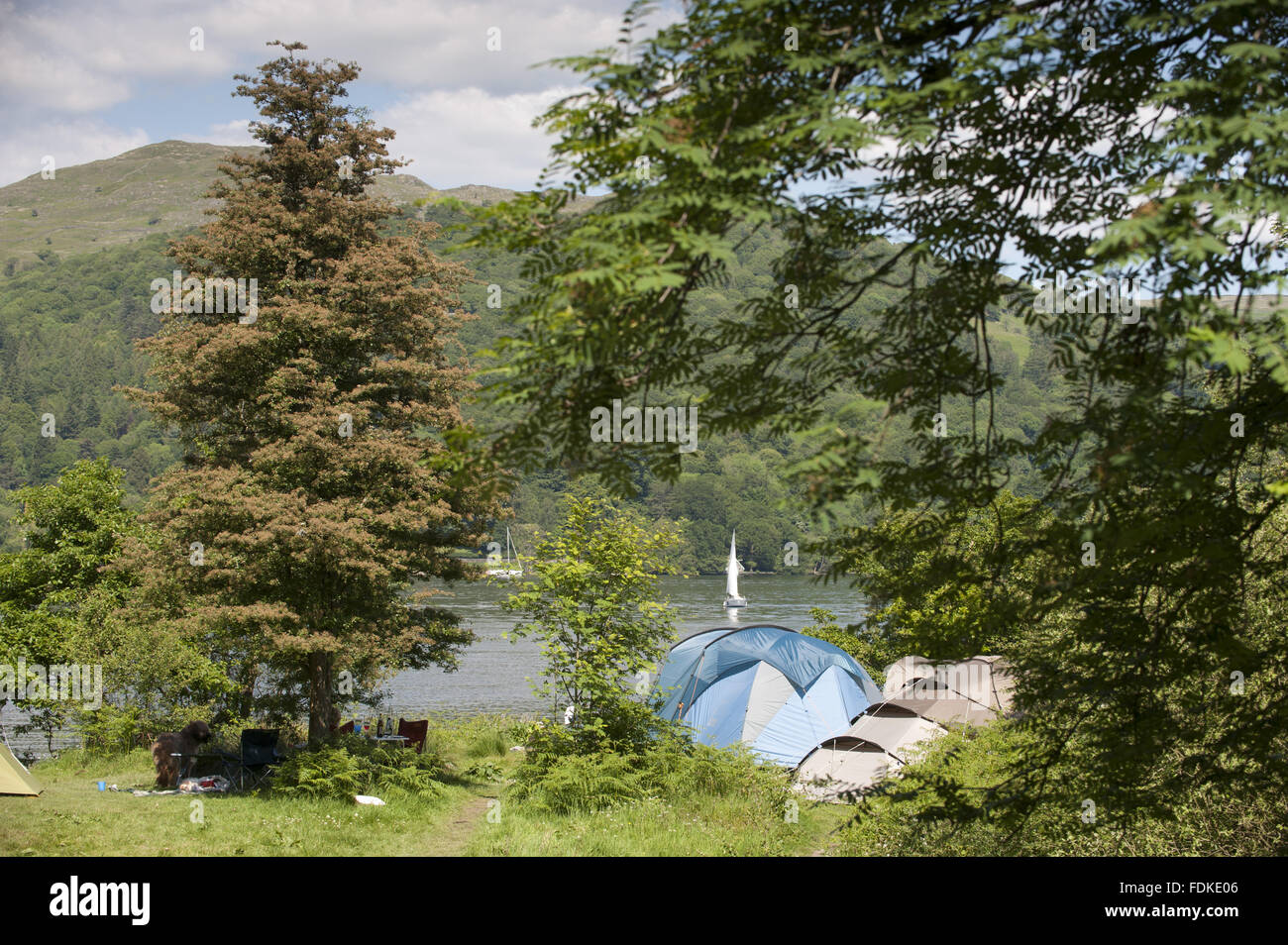 The campsite at Low Wray, Cumbria Stock Photo - Alamy