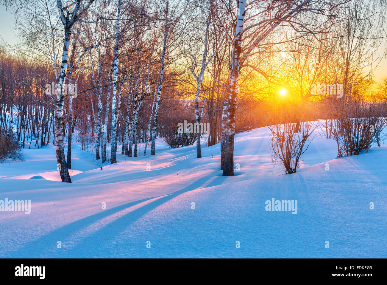 Colorful winter sunset Stock Photo - Alamy