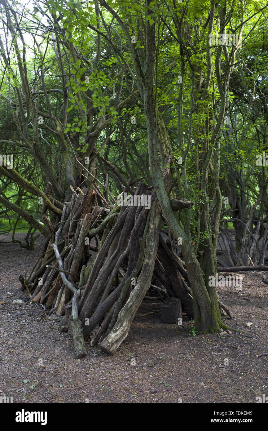 Den building forest hi-res stock photography and images - Alamy