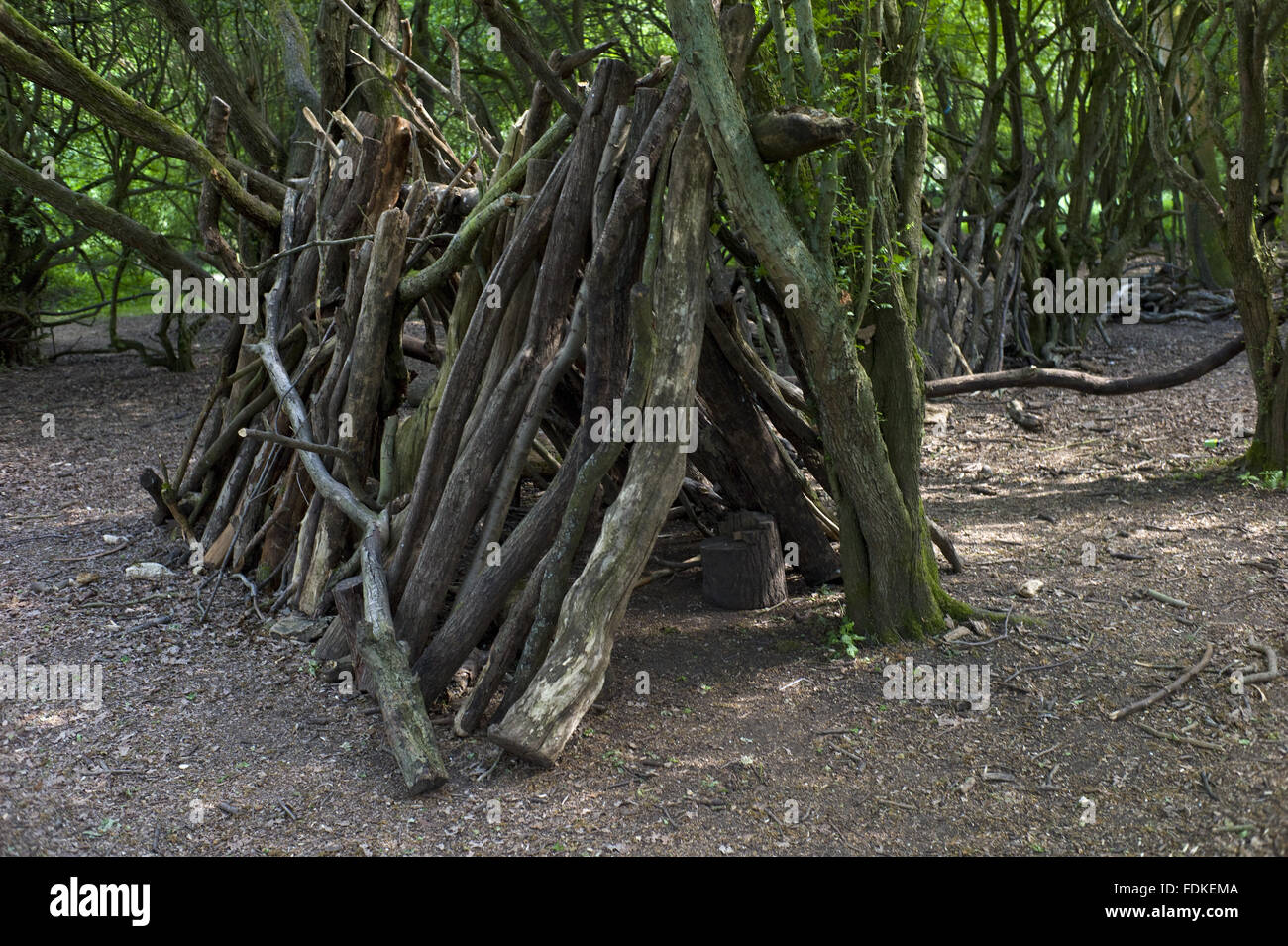 Den building forest hi-res stock photography and images - Alamy