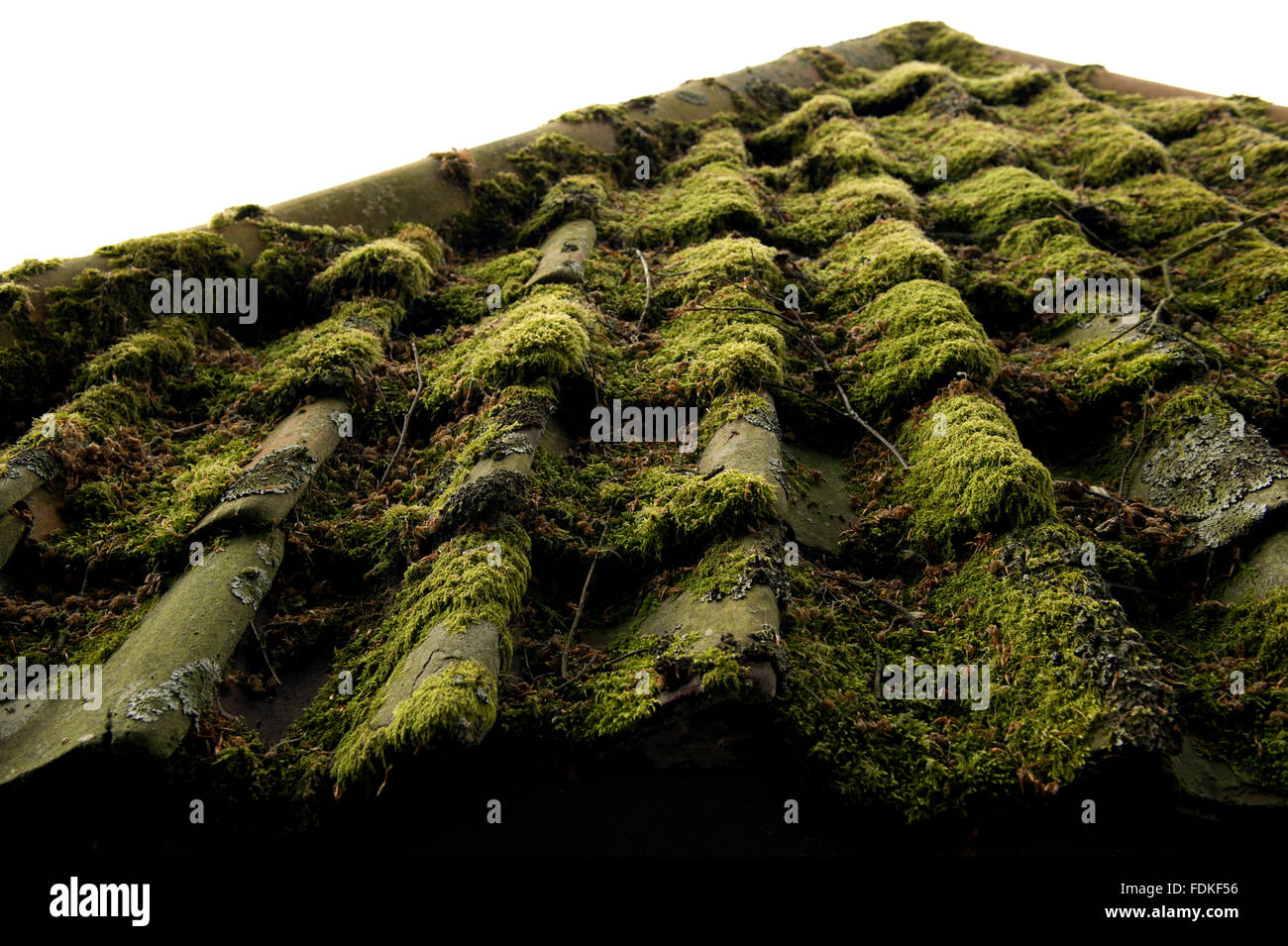 Moss on the roof hi-res stock photography and images - Alamy