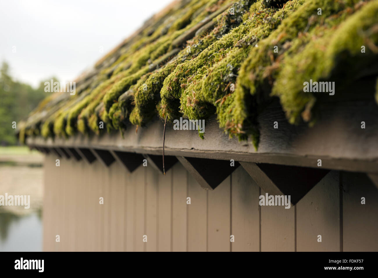 Moss on the roof hi-res stock photography and images - Alamy