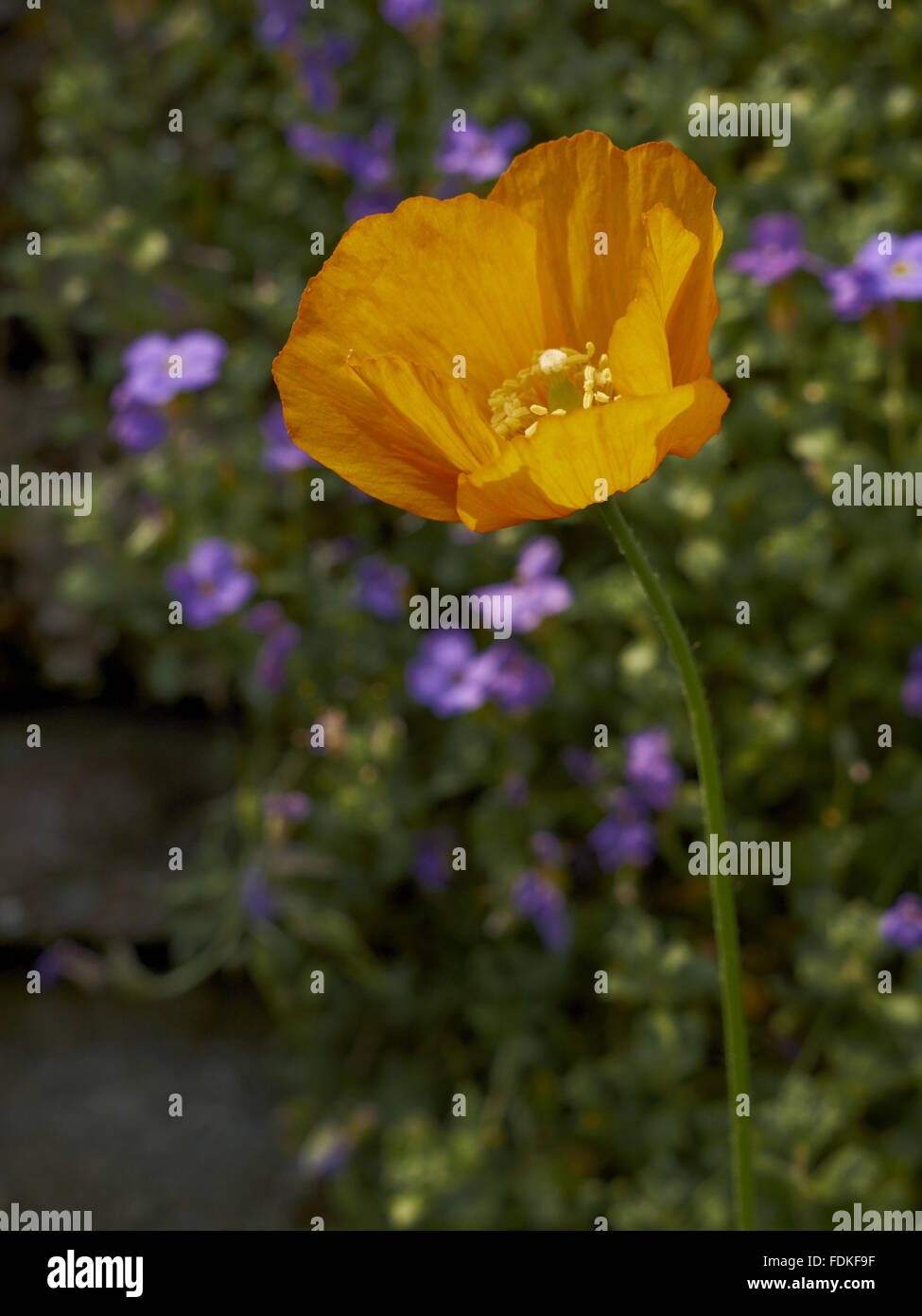 Tyn y groes hi-res stock photography and images - Alamy