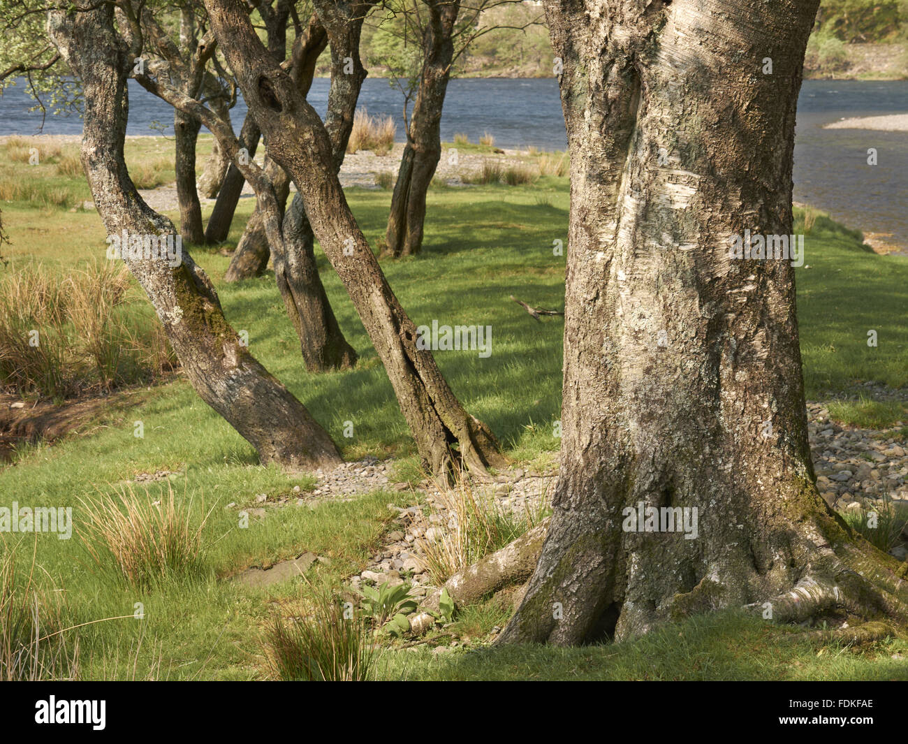 1000504 hi-res stock photography and images - Alamy