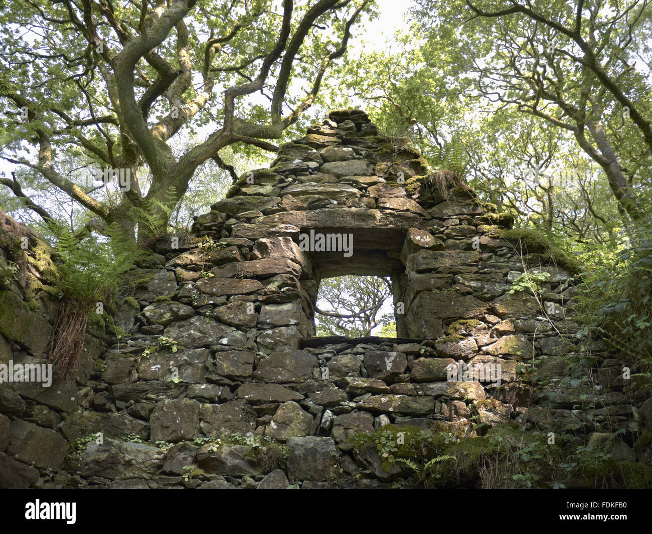 A ruined building on Llyndy Isaf, an estate of 600 acres in Snowdonia ...