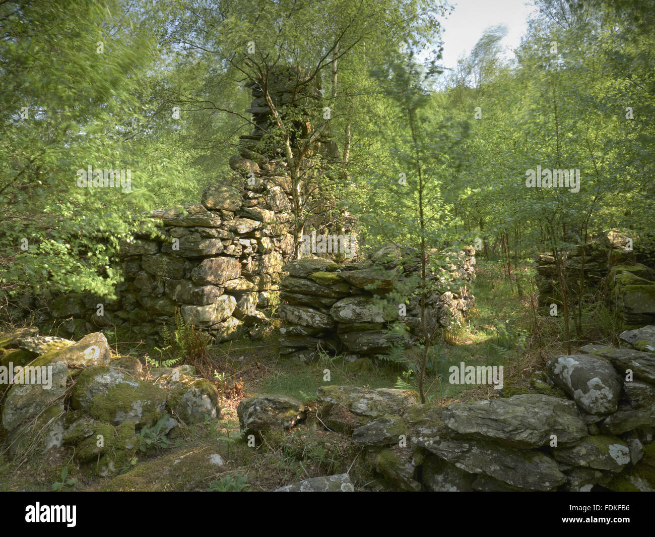 A ruined building on Llyndy Isaf, an estate of 600 acres in Snowdonia ...