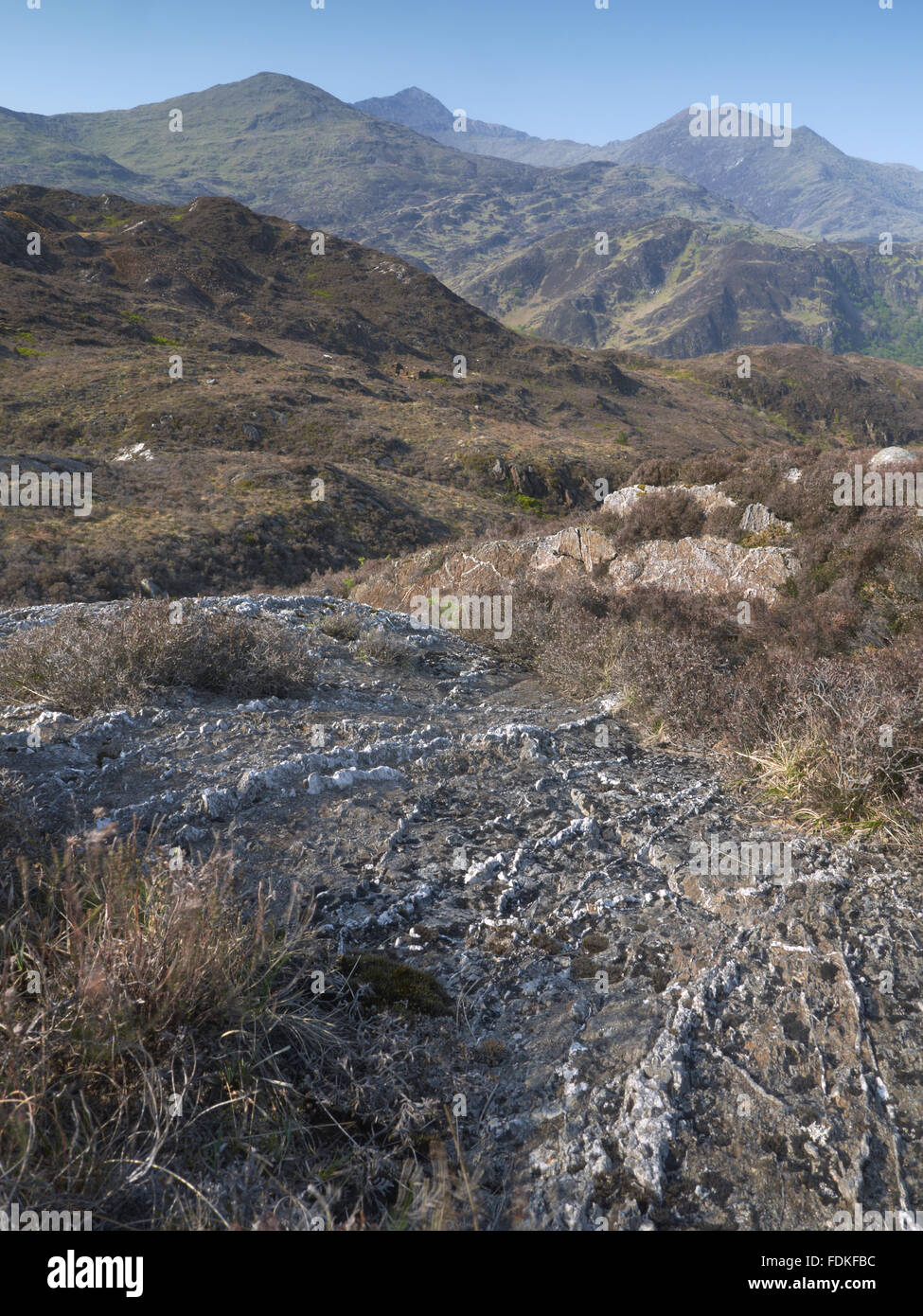 1000576 hi-res stock photography and images - Alamy