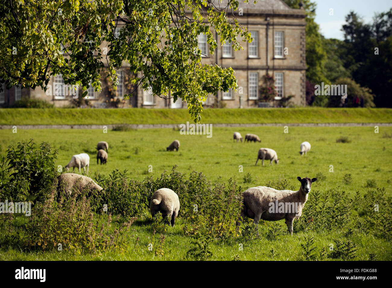 Wallington north hi-res stock photography and images - Alamy