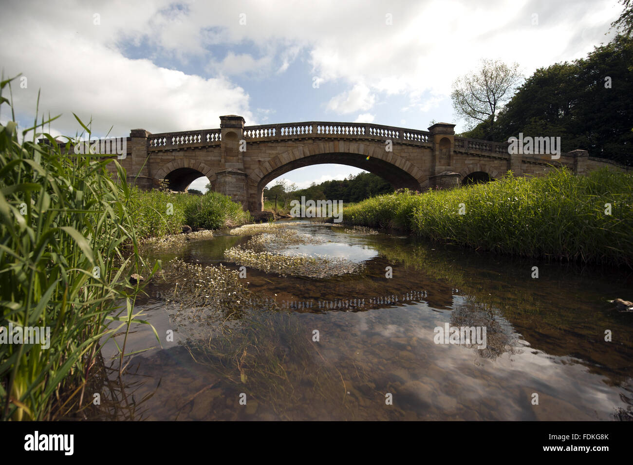 The bridge over the Wansbeck at Wallington, Northumberland Stock Photo ...