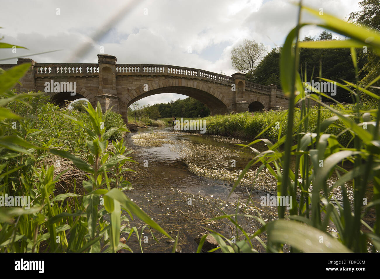 The bridge over the Wansbeck at Wallington, Northumberland Stock Photo ...