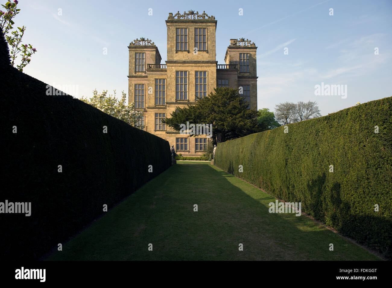 Straight hedges hi-res stock photography and images - Alamy