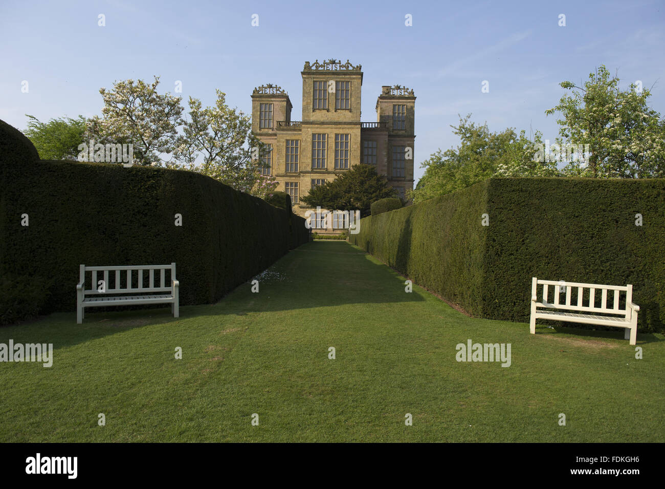 Straight hedges hi-res stock photography and images - Alamy