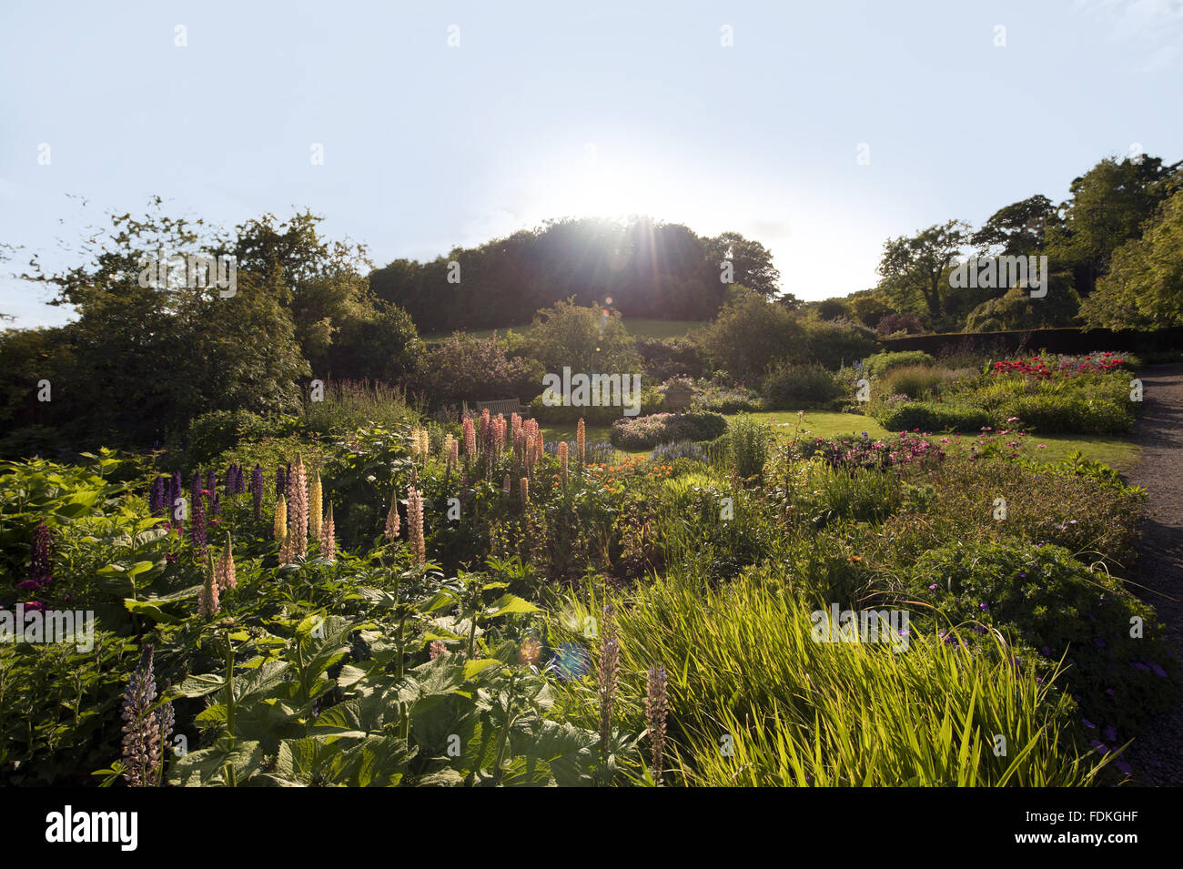 The Walled Garden in June at Wallington, Northumberland Stock Photo - Alamy
