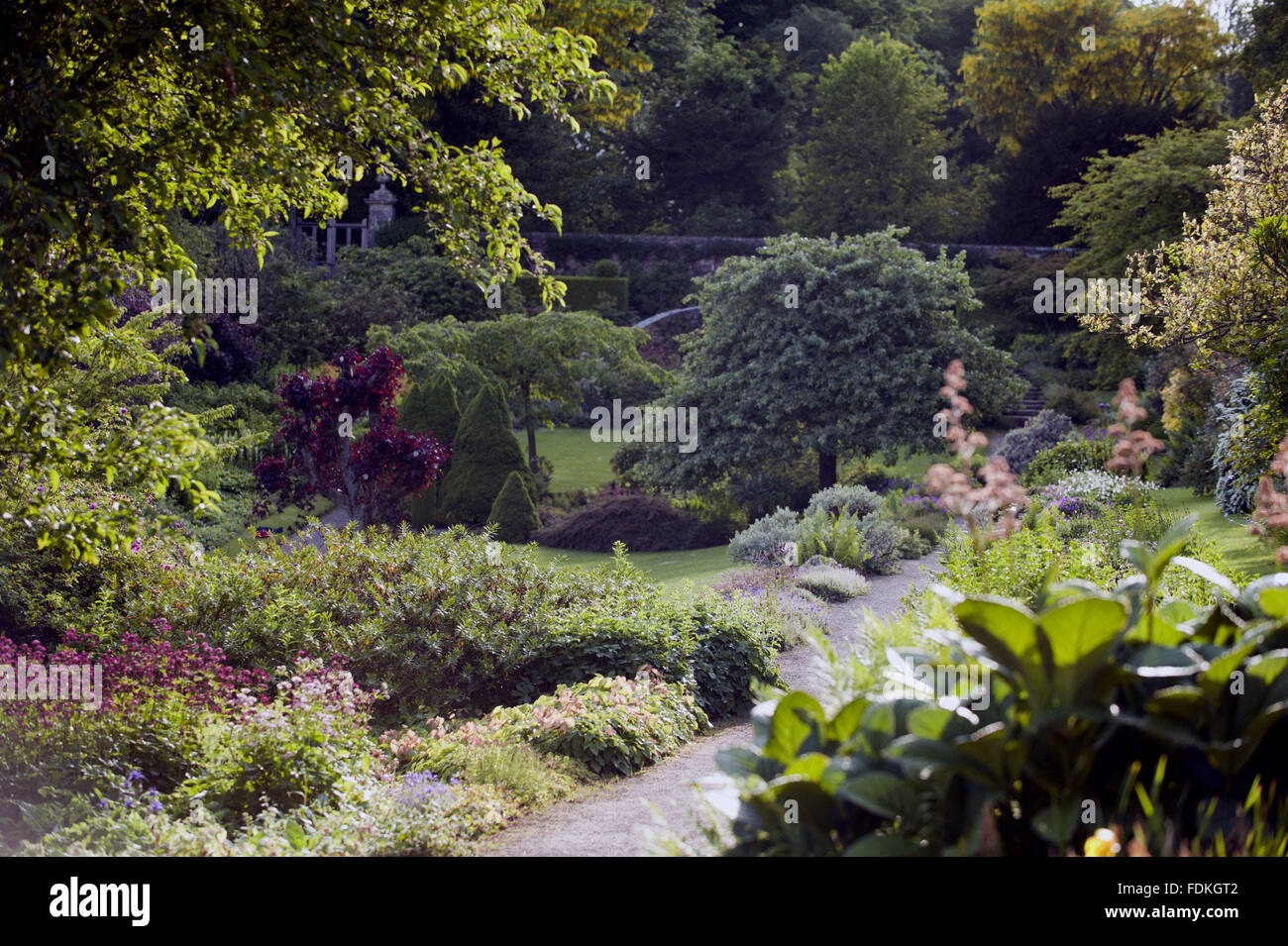 The garden in June at Wallington, Northumberland Stock Photo - Alamy