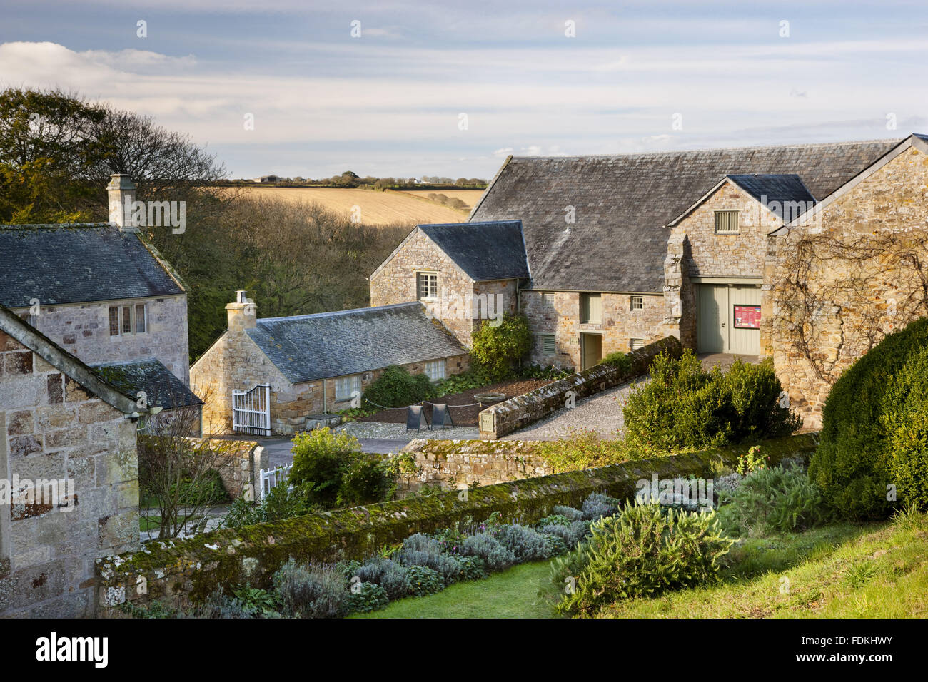 The barn and back of the house at Trerice, Cornwall Stock Photo - Alamy