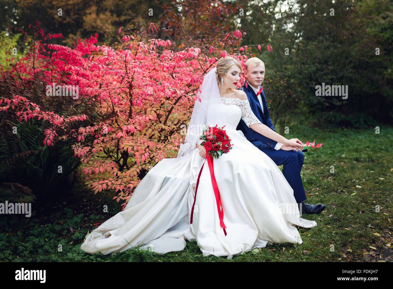 Romantic wedding couple sitting on a bench near the red bush Stock ...