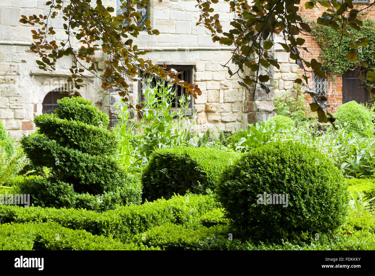 View across the herb knot garden in July towards the medieval range of ...