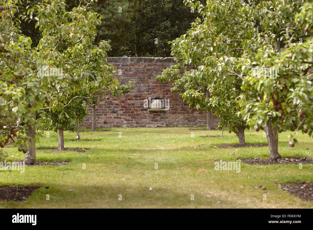 The Orchard with a bee-bole in the garden wall at Moseley Old Hall ...