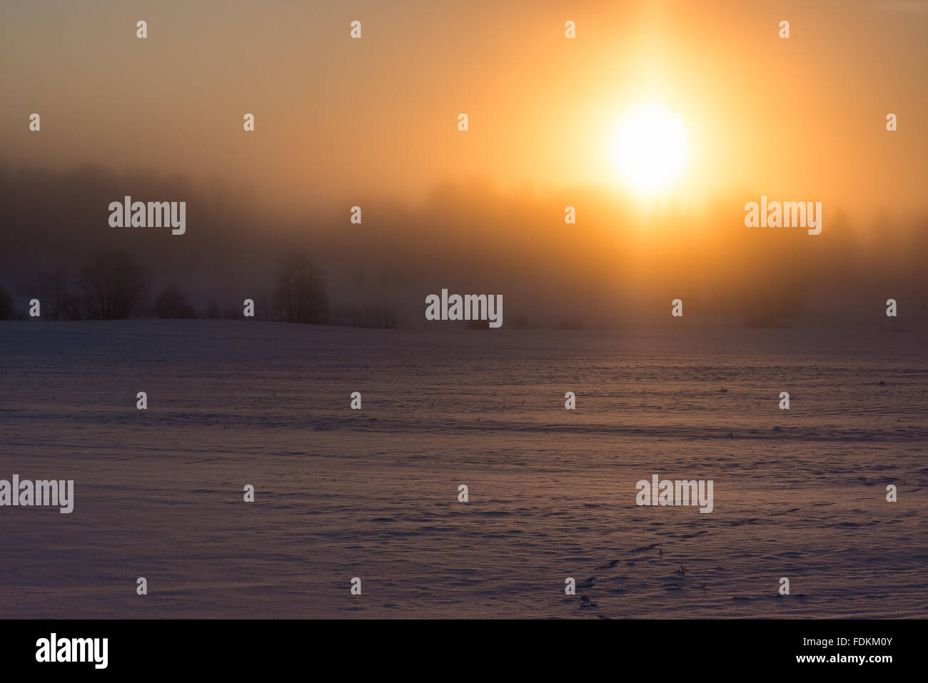 Cold morning light hi-res stock photography and images - Alamy