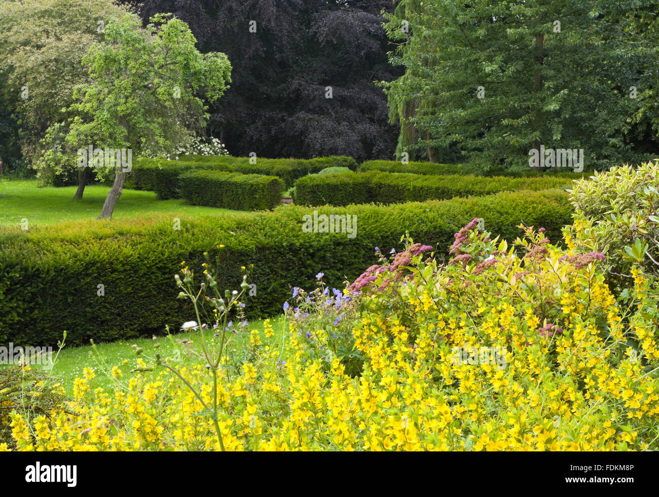 The borders of the Tudor manor house garden in July, Norbury ...