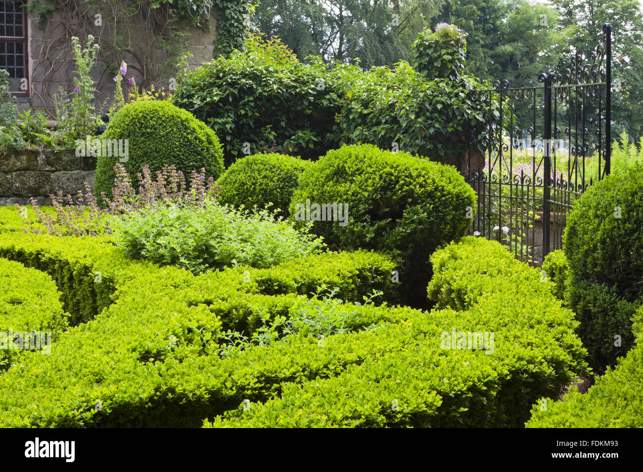 View across the herb knot garden in July, towards the gates to the ...
