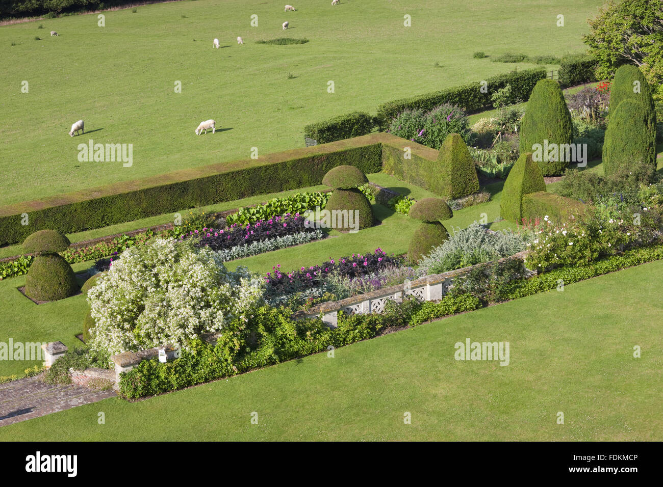 Topiary sheep topiary sheep hi-res stock photography and images - Alamy